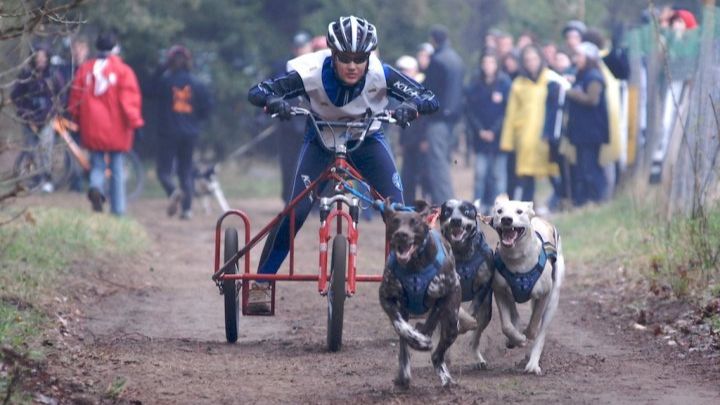 Драйленд - скорость и азарт