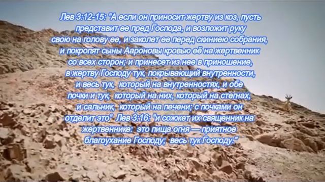 3 Левит третья глава