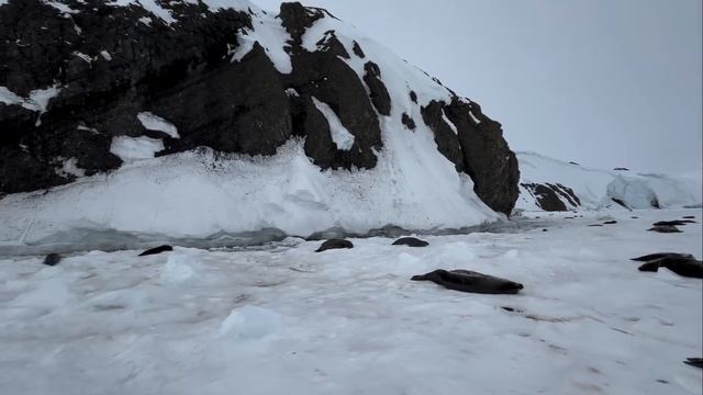 Утро 1-ого января