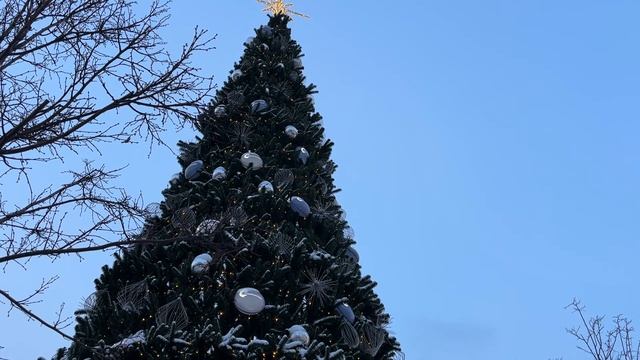 Новогодняя елка рядом с ЦУМом и Большим театром в Москве.