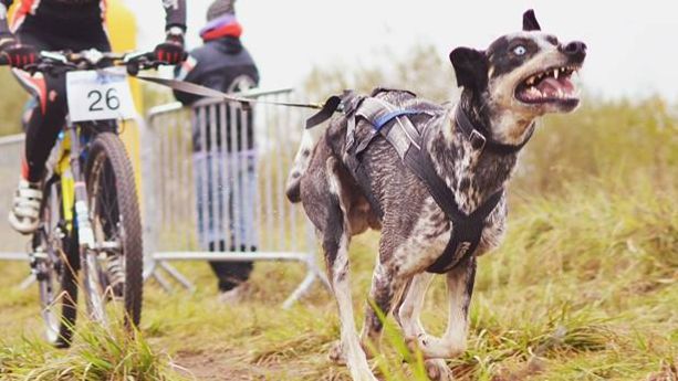 Тренировка Филиппа  Сангла