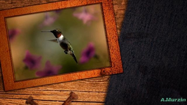 Alexander Karshkov - Одинокая флейта - Lonely Flute