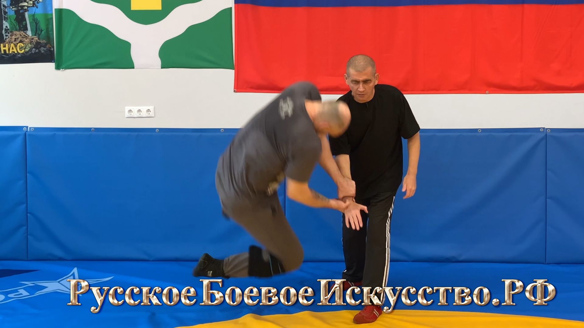 R297 = ВОЛНА, УПРАВЛЯЕМ КОЛЕБАНИЯМИ.