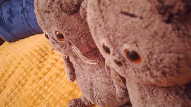 знакомства с басиками и советики от них