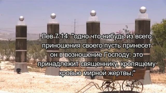 7 Левит седьмая глава