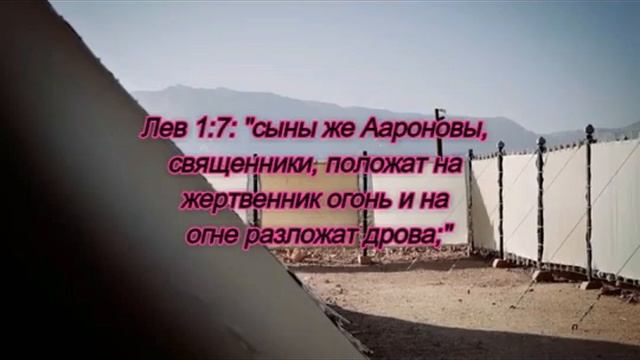 1 Левит первая глава