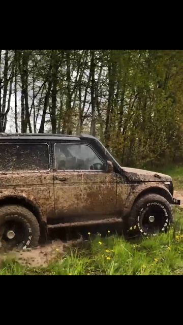 Нива на бездорожье