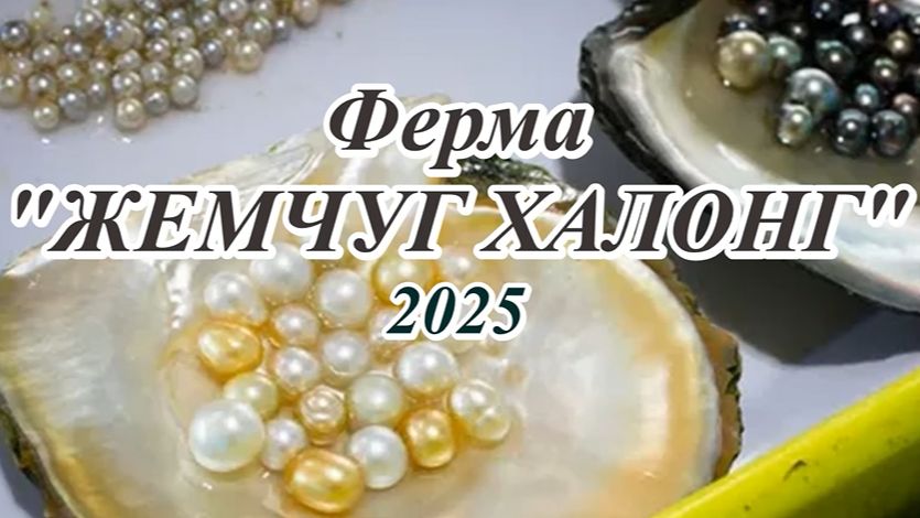 Жемчужная ферма