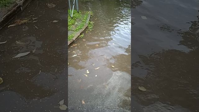 №586	ул. Красноармейская 1-я. 18 августа 2025 г., 17:20:44 VID_20250818_171936996