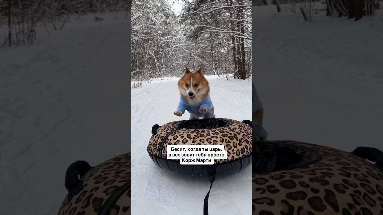 Просто царь