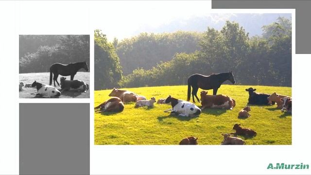 Alexander Karshkov - Тибетская ночь - Tibetan Night