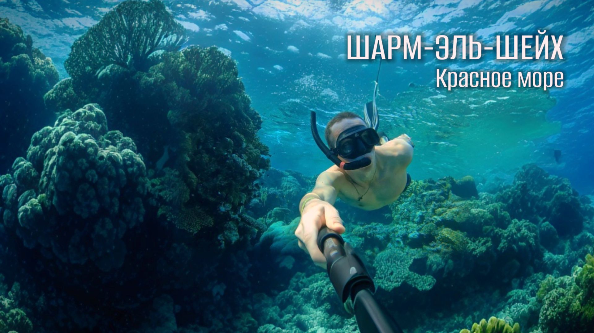 Шарм эль Шейх. Египет