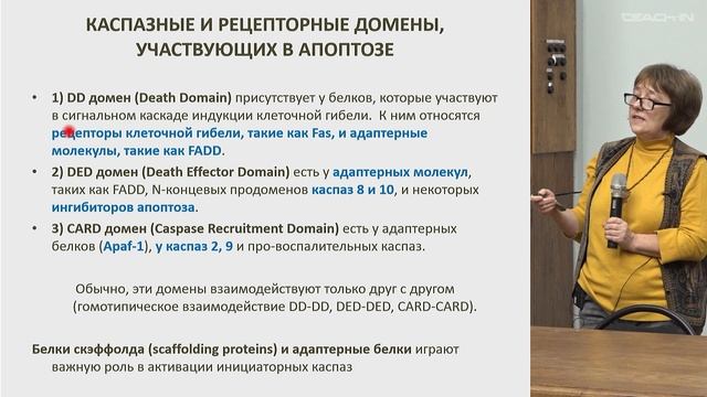 Кисурина О.П. - Клеточная биология - 16. Пути передачи сигнала в клетках. Гибель клетки
