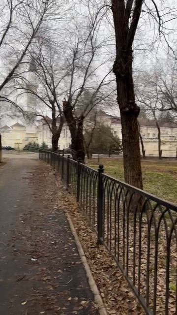 Прогулка не по плану.