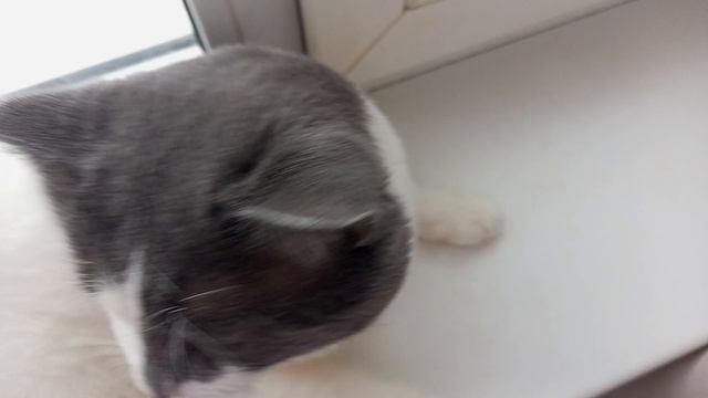 когда тишу беспокоят