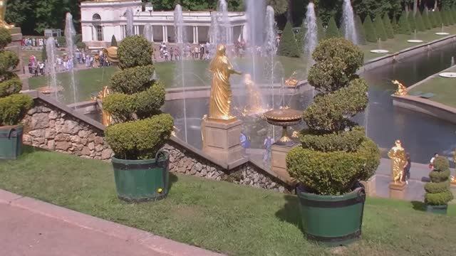 4K. Топиарное искусство в Петергофе