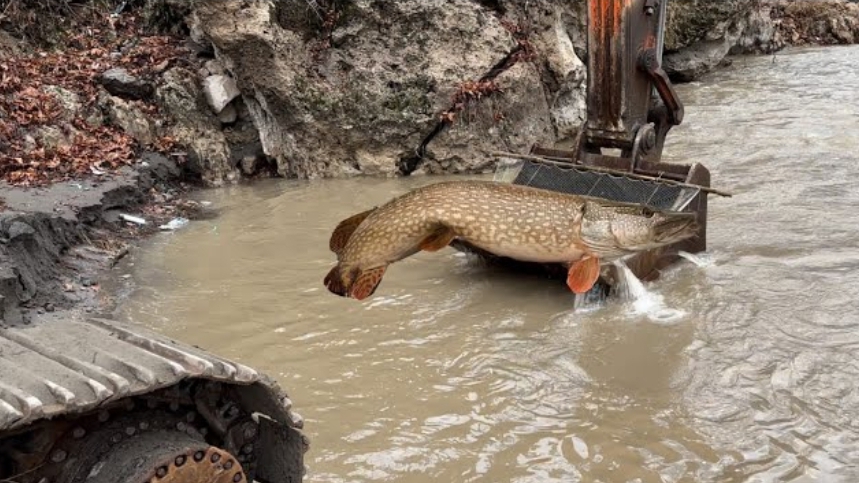 Рыбалка при помощи экскаватора.