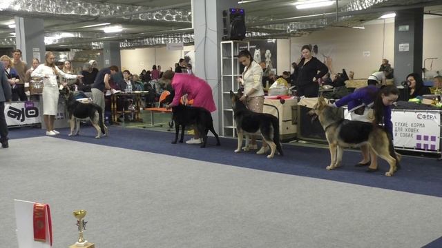 Сравнение класса юниоров