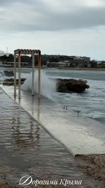 Севастополь 2026