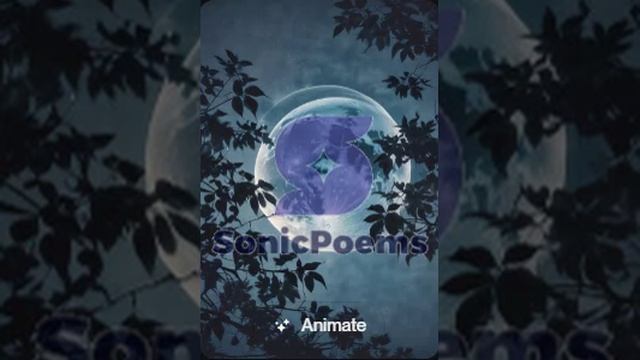 Дмитрий Кравченко — А ты когда-нибудь любила (вар1)