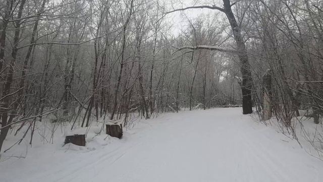 Зимняя сказка.😊