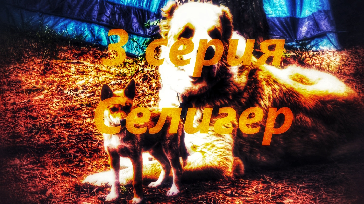 История одной НЕСОБАКИ. 3 серия. Селигер.