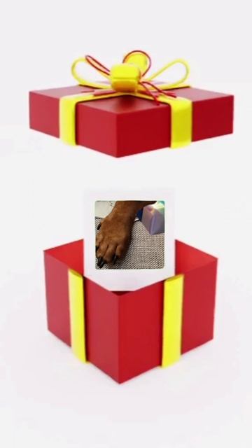 Новогодний приветик от таксы Алисы