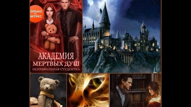 Неправильная студентка, Академия мертвых душ. Книга 1