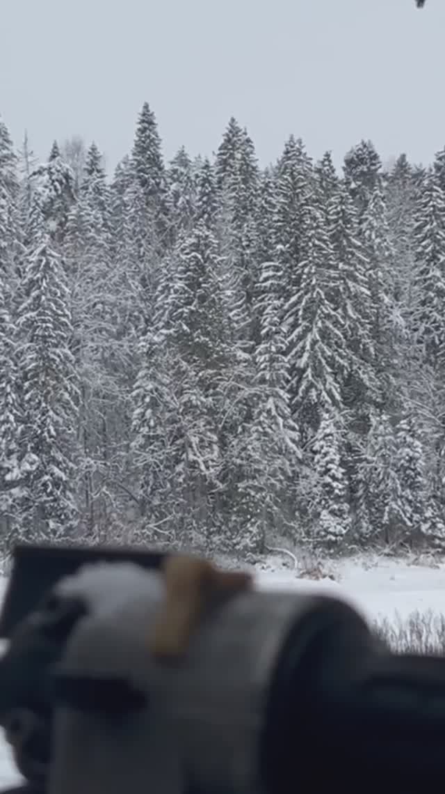 Дедан 12 подотовка