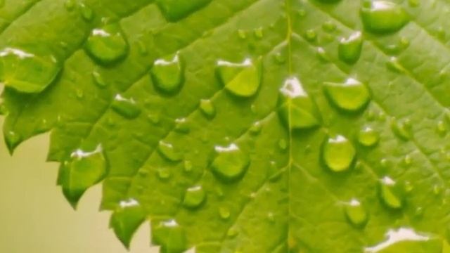 4 Обсуждение__Послание_Христа_к_Ефесской_церкви_и_уроки_для_нас_