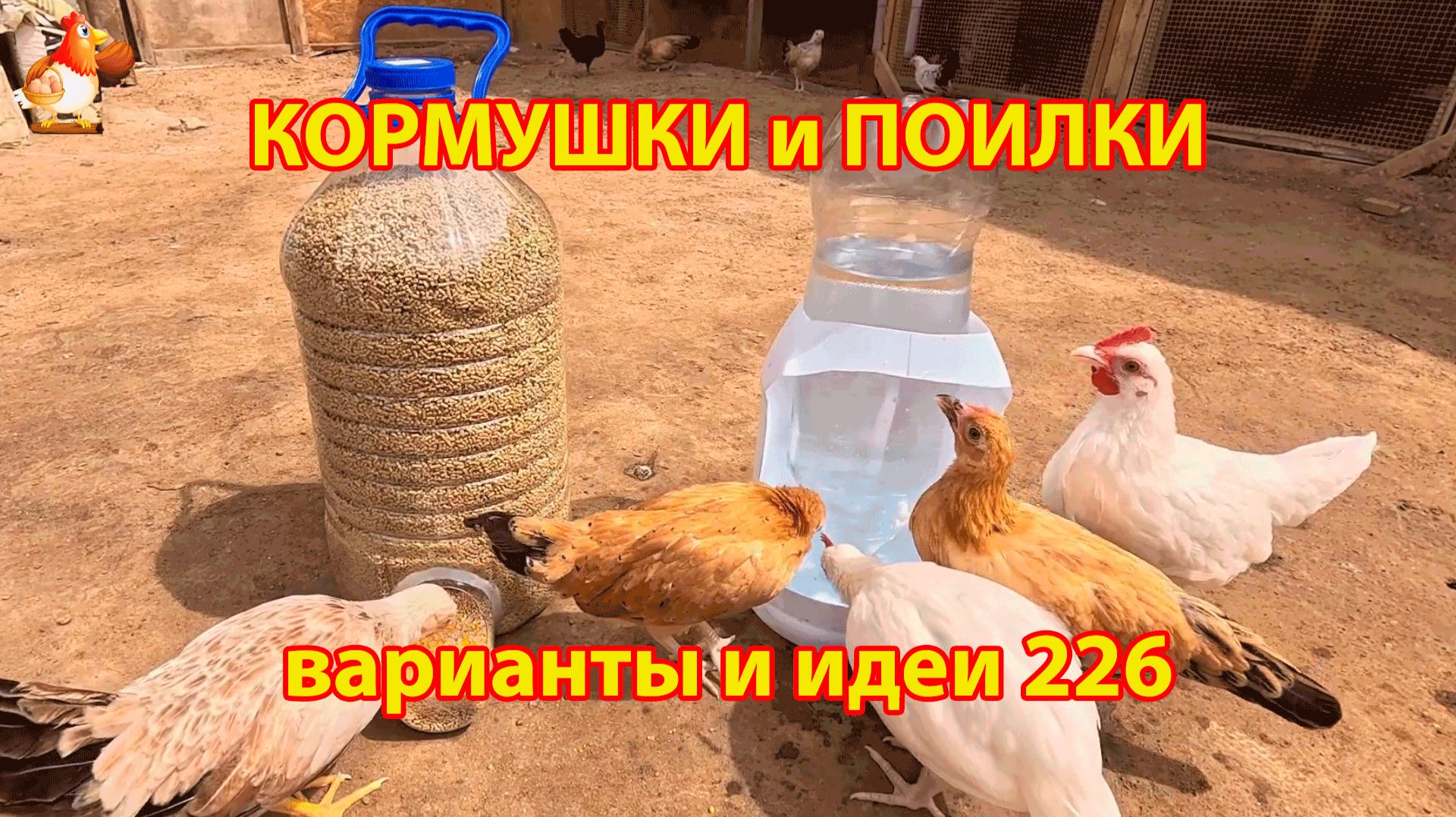 Кормушки и поилки для кур своими руками 226 🪚✂️ Пошаговая инструкция как сделать 🐔 🐓❣️