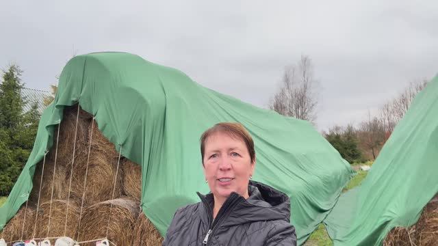 Марина Елагина о флисе для сена и соломы типа ПраймТэкс от Лелаф и про тарпаулиновый тент для сена