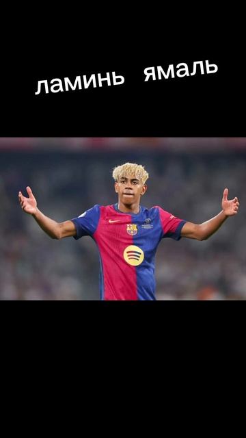 мои любимые   футболисты