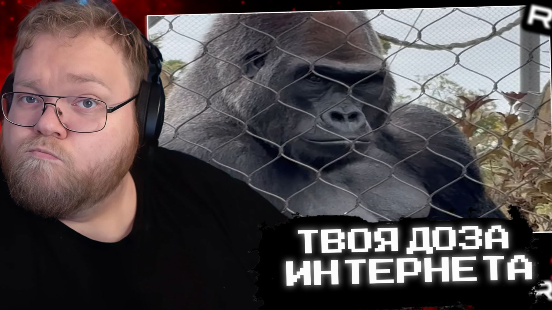 Т2х2 СМОТРИТ: ТВОЯ ДОЗА ИНТЕРНЕТА // Этот человек представляет угрозу // РЕАКЦИЯ Т2х2