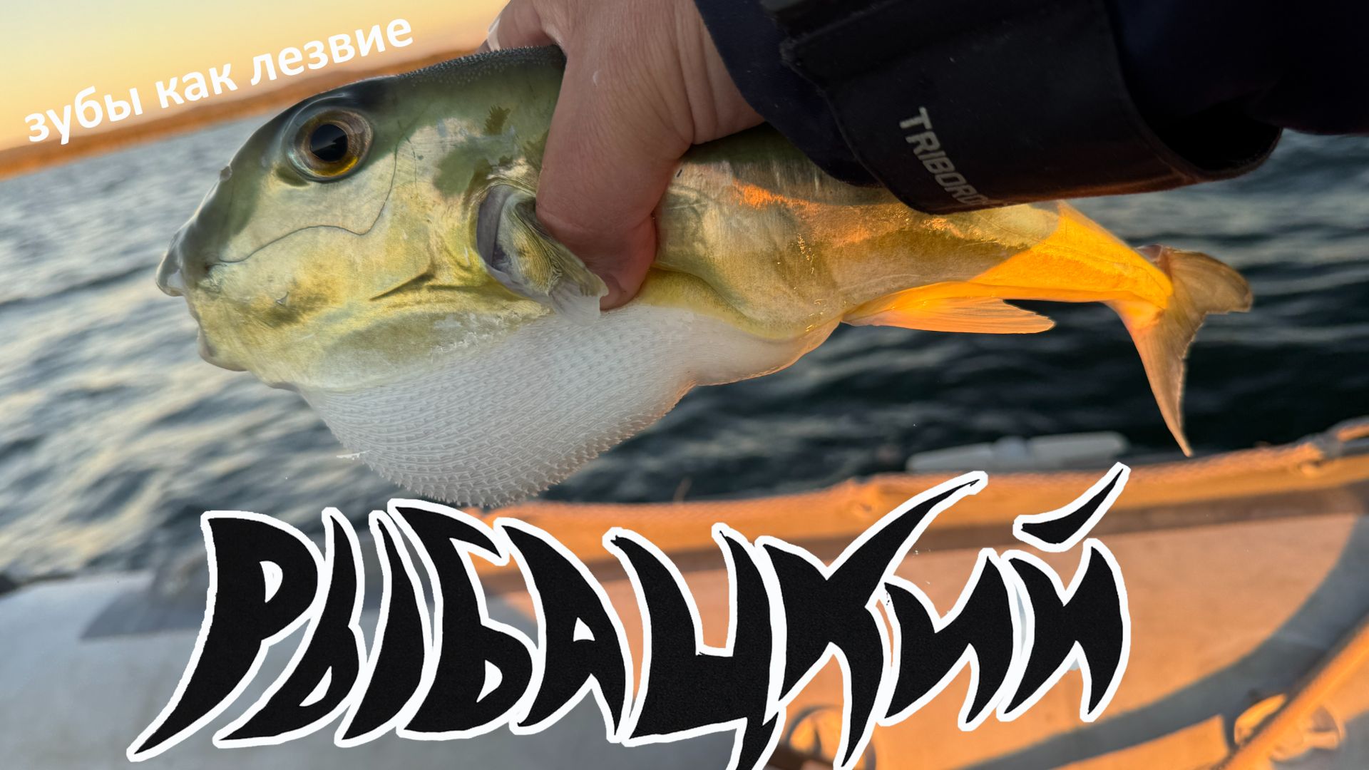 Рыбалка в Тин Кан Бей