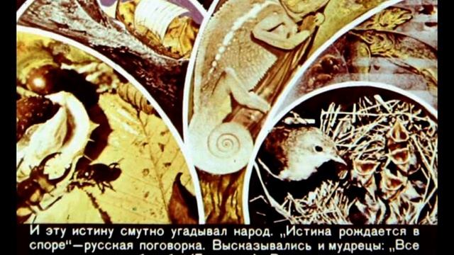 Законы материалистической диалектики.