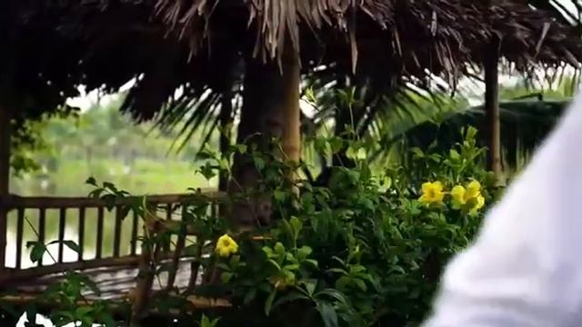 Forest Oasis Eco Park | 316000.ru - лучшие цены на Ваши путешествия!