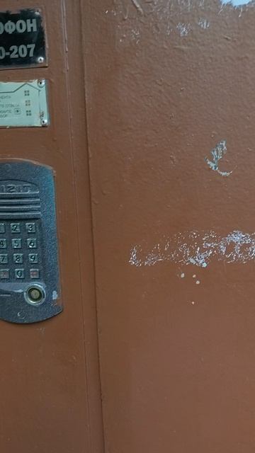 №645 Двор Сибирская 73. 8 сентября 2025 г., 15:09:46 VID_20250908_150935840