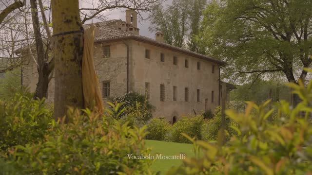 ПРЕКРАСНАЯ УМБРИЯ, Италия. САДЫ ГОРОДКА СПЕЛЛО