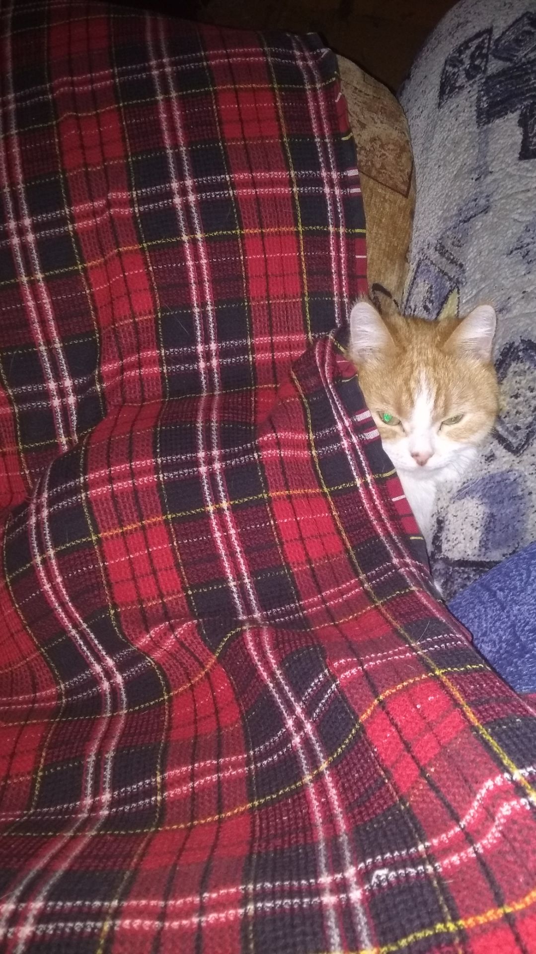 Миссия выполнена! 😉😃😜