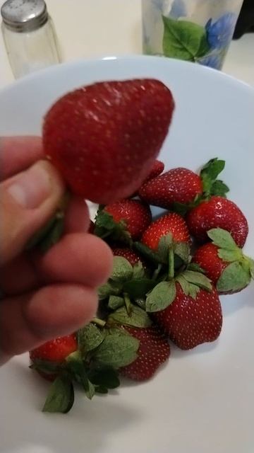 Клубника в декабре Хургада Египет