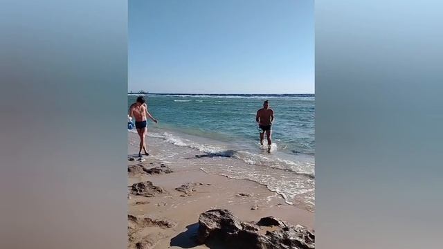 Египет 2025 _ пляж отеля