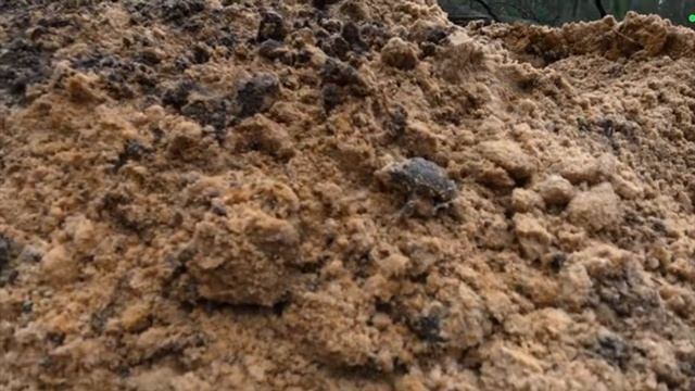 Построил секретную землянку в Чернобыле.Выживание в зоне отчуждения в 2026  (Влад Резнов) реакция