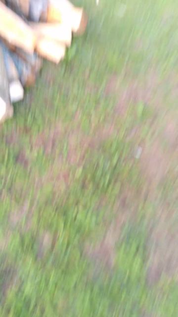 Селятино приключение Ромы и Маши 10 серия летающая тарелка для взрослых и детей