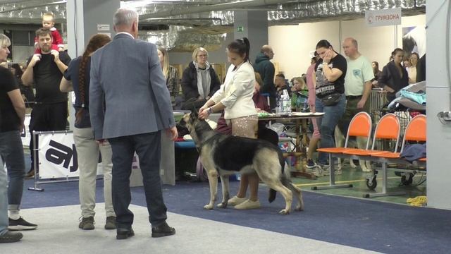 Ольвал Дэнис Равена