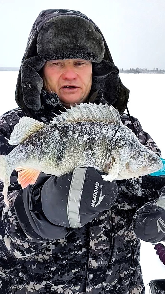 Окунь закилошник на удочку. Под Новый Год