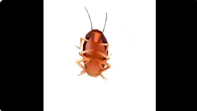 танцующий таракан флексит под аниматик