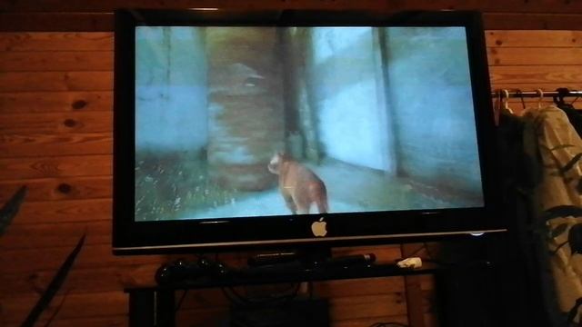 Бешенные мыши,прохождение Stray #1