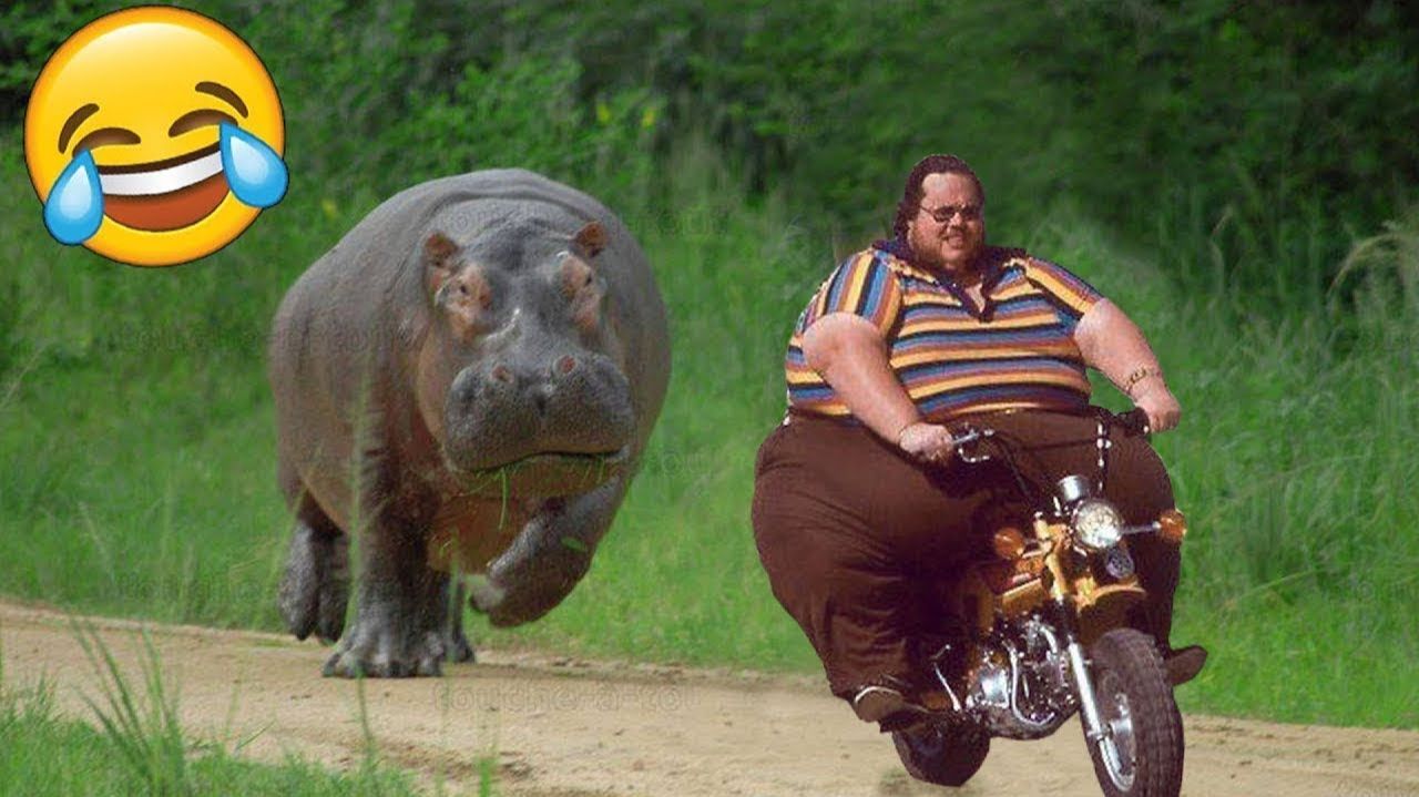 ПРИКОЛЫ 2026 ТОП