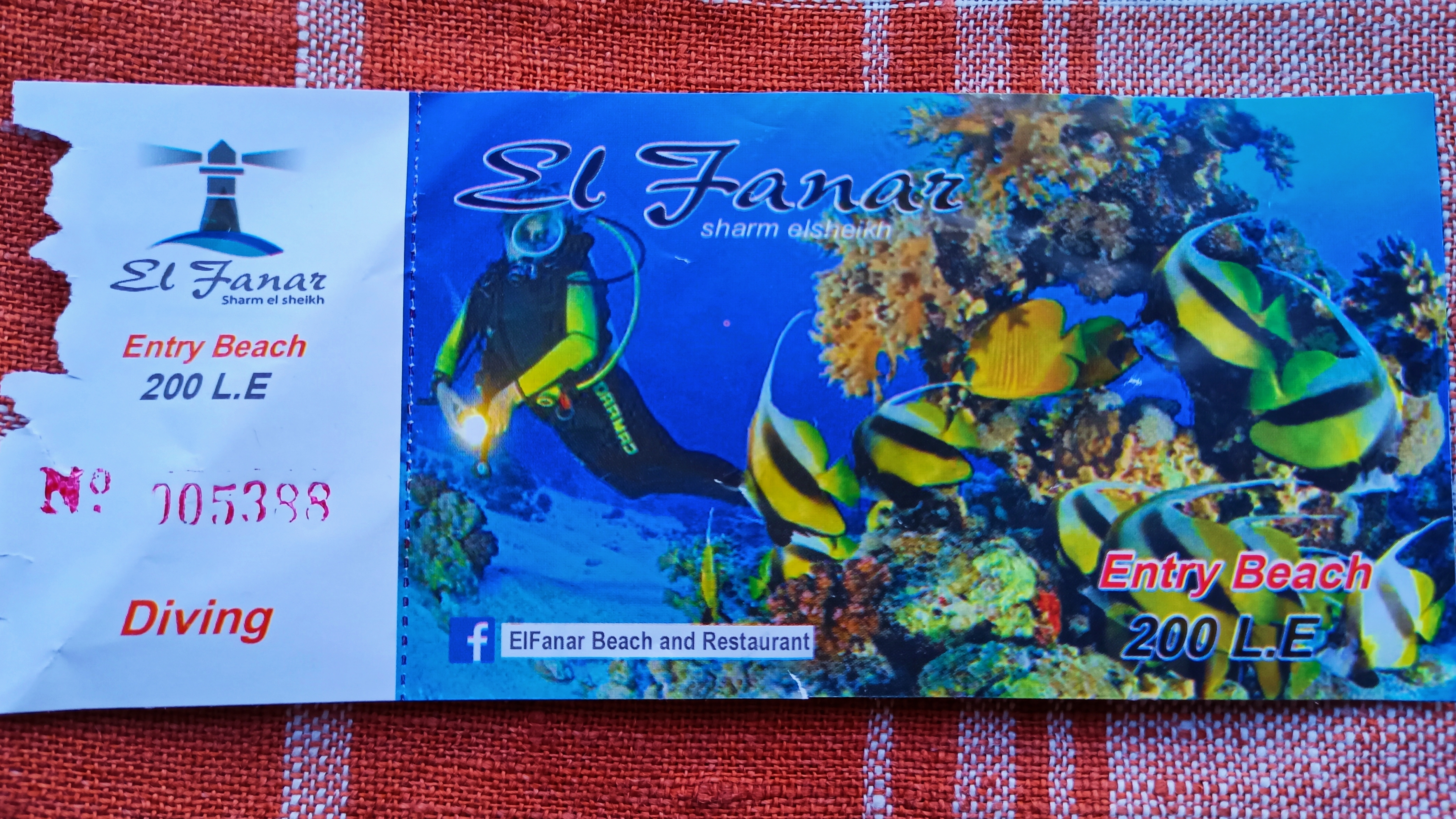 ШАРМ-ЭЛЬ-ШЕЙХ / El Fanar / Декабрь 2025